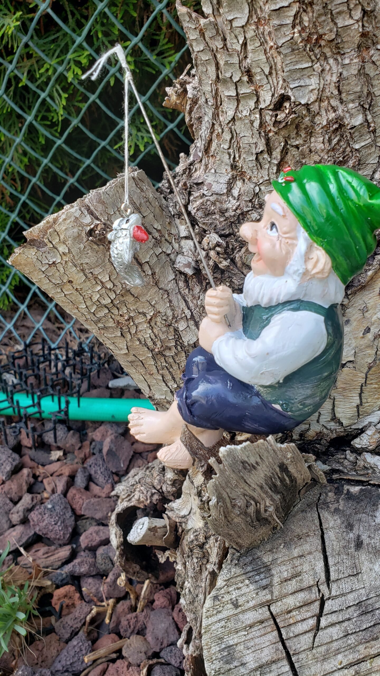Fishing Gnome - The Gnome Shop