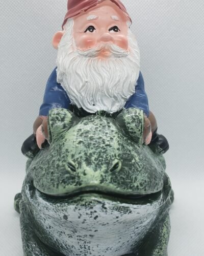 Gnome Shop - The Gnome Shop