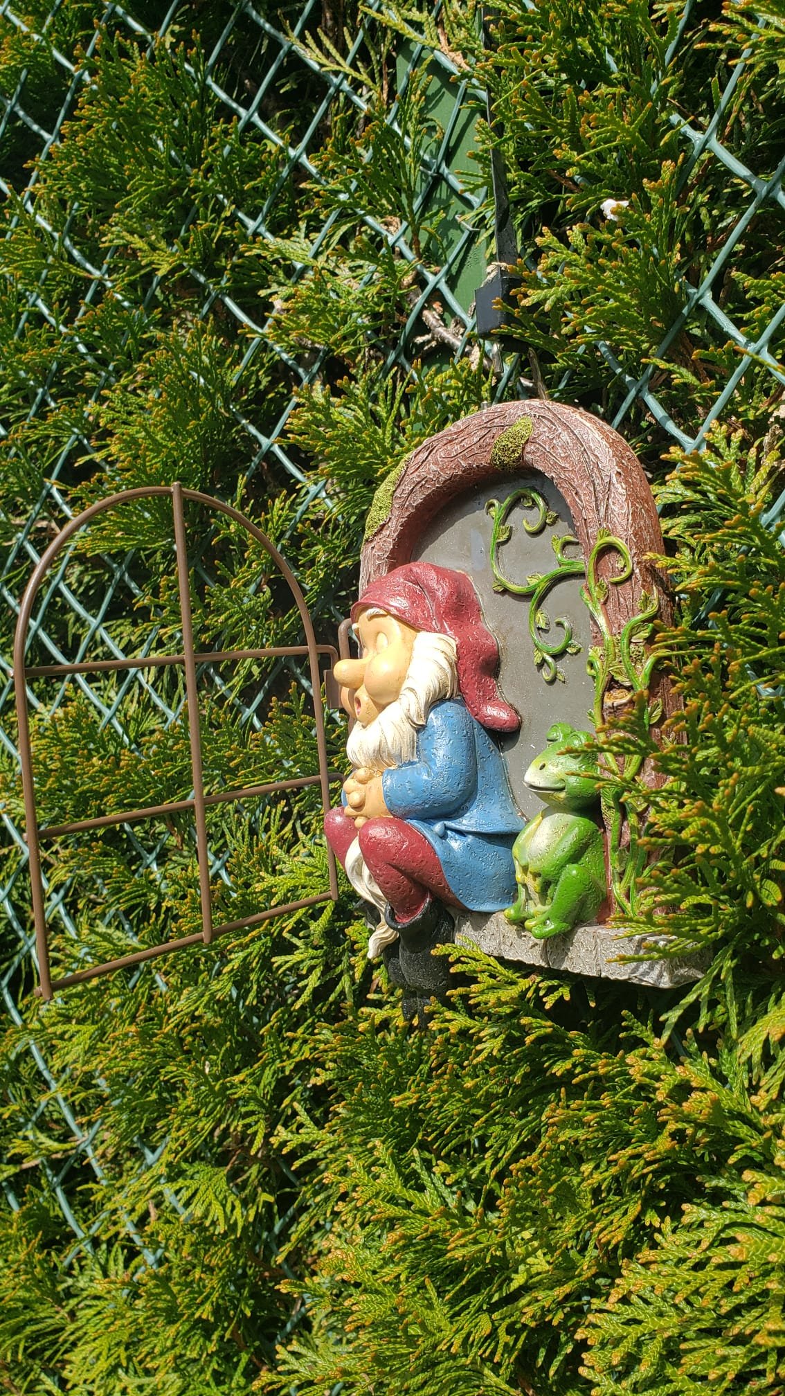 Gnome and Frog on Window | Frog Gnome Statues - The Gnome Shop