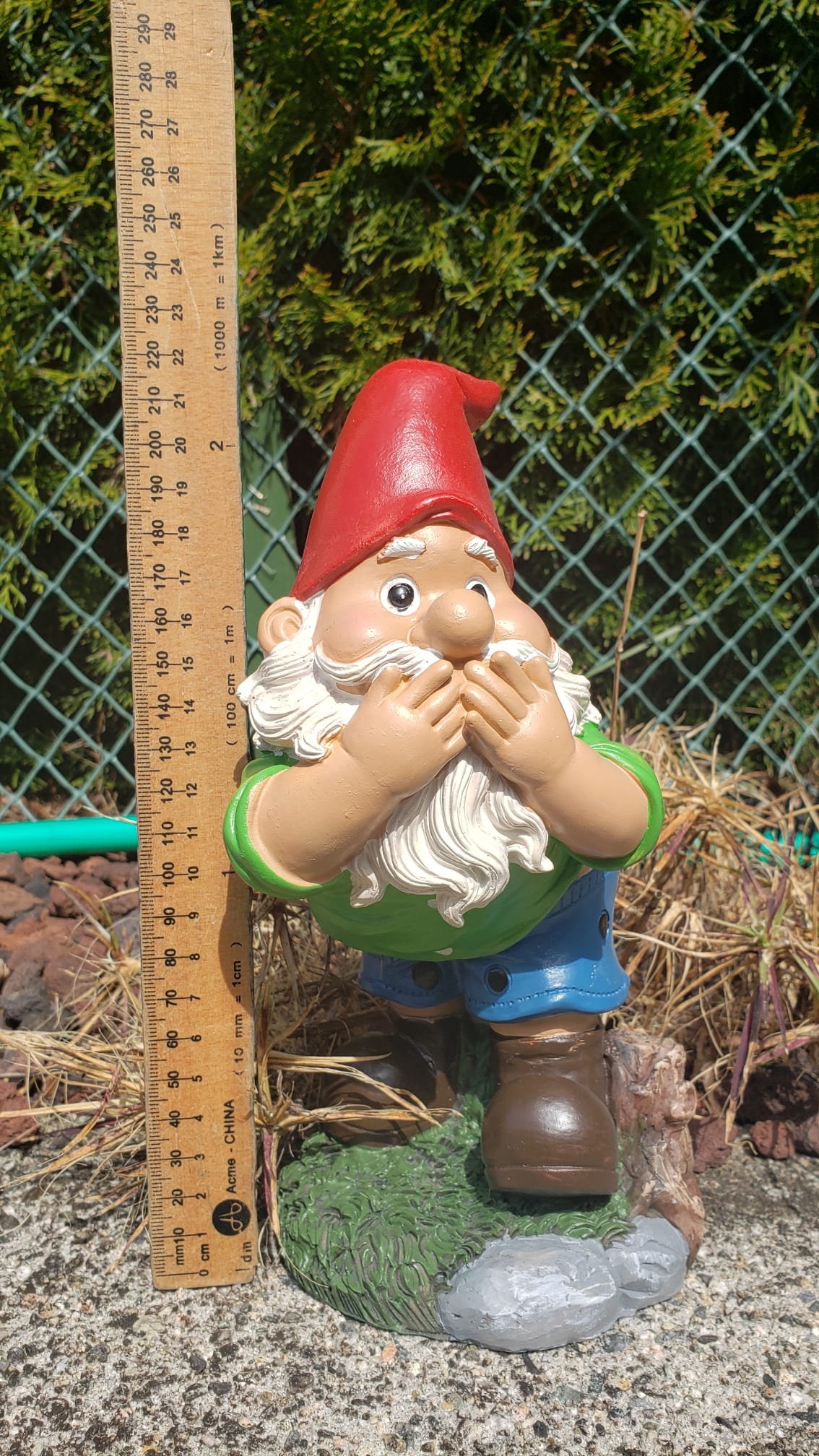 Gnome in Shock - The Gnome Shop