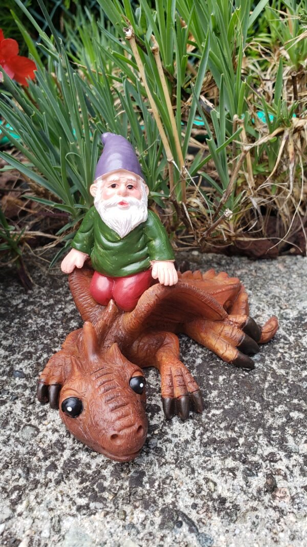Mini Gnome Riding Dragon | Gnome Riding a Dragon - The Gnome Shop