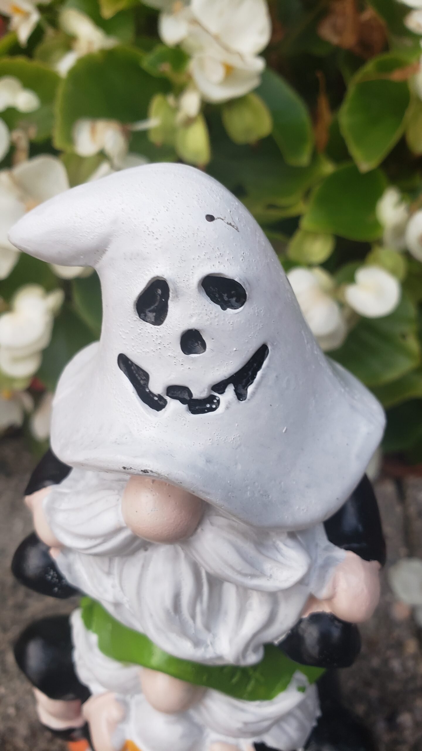 Halloween Garden Gnomes - The Gnome Shop