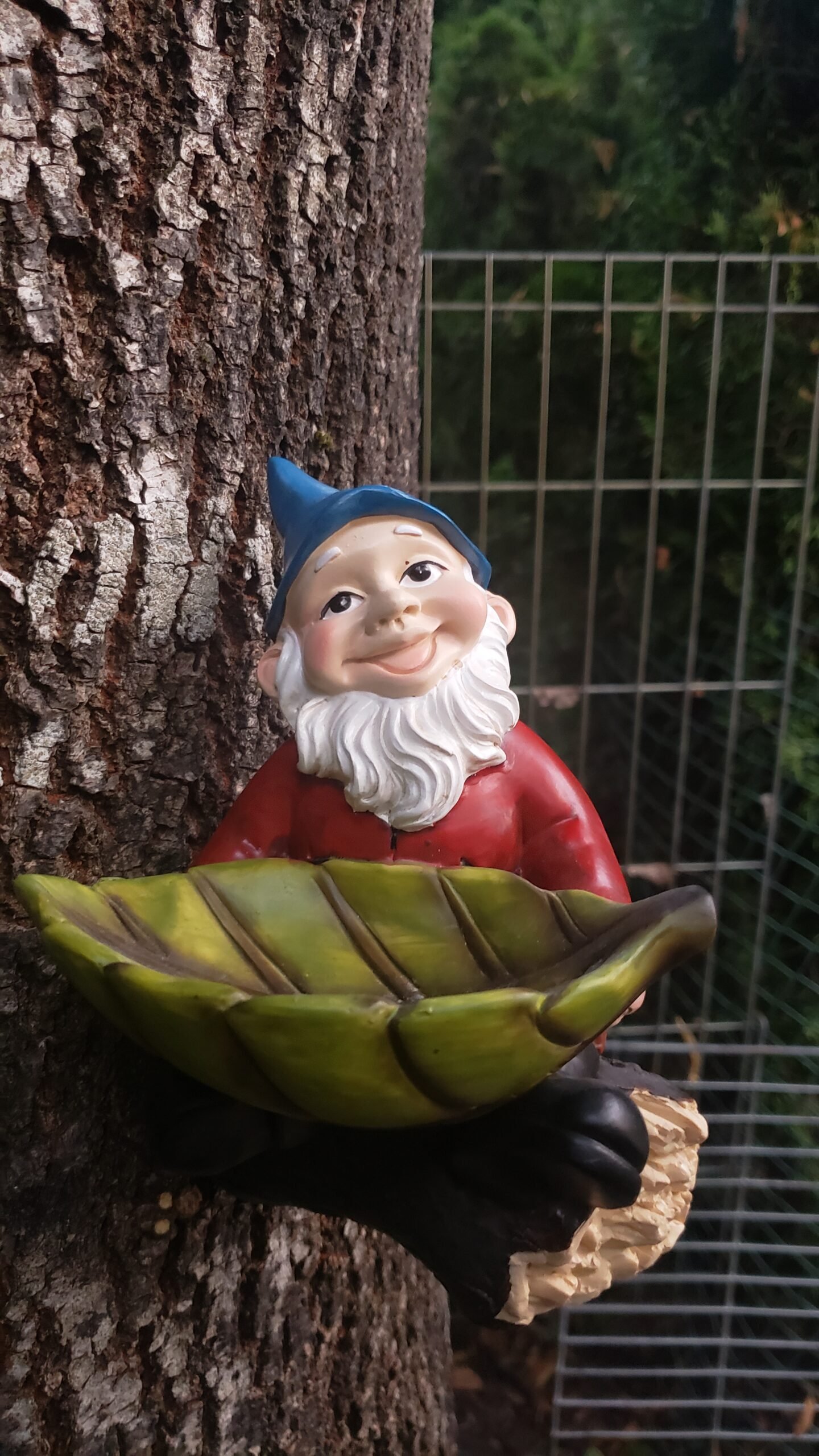 Garden Gnome Bird Feeder on Branch - The Gnome Shop