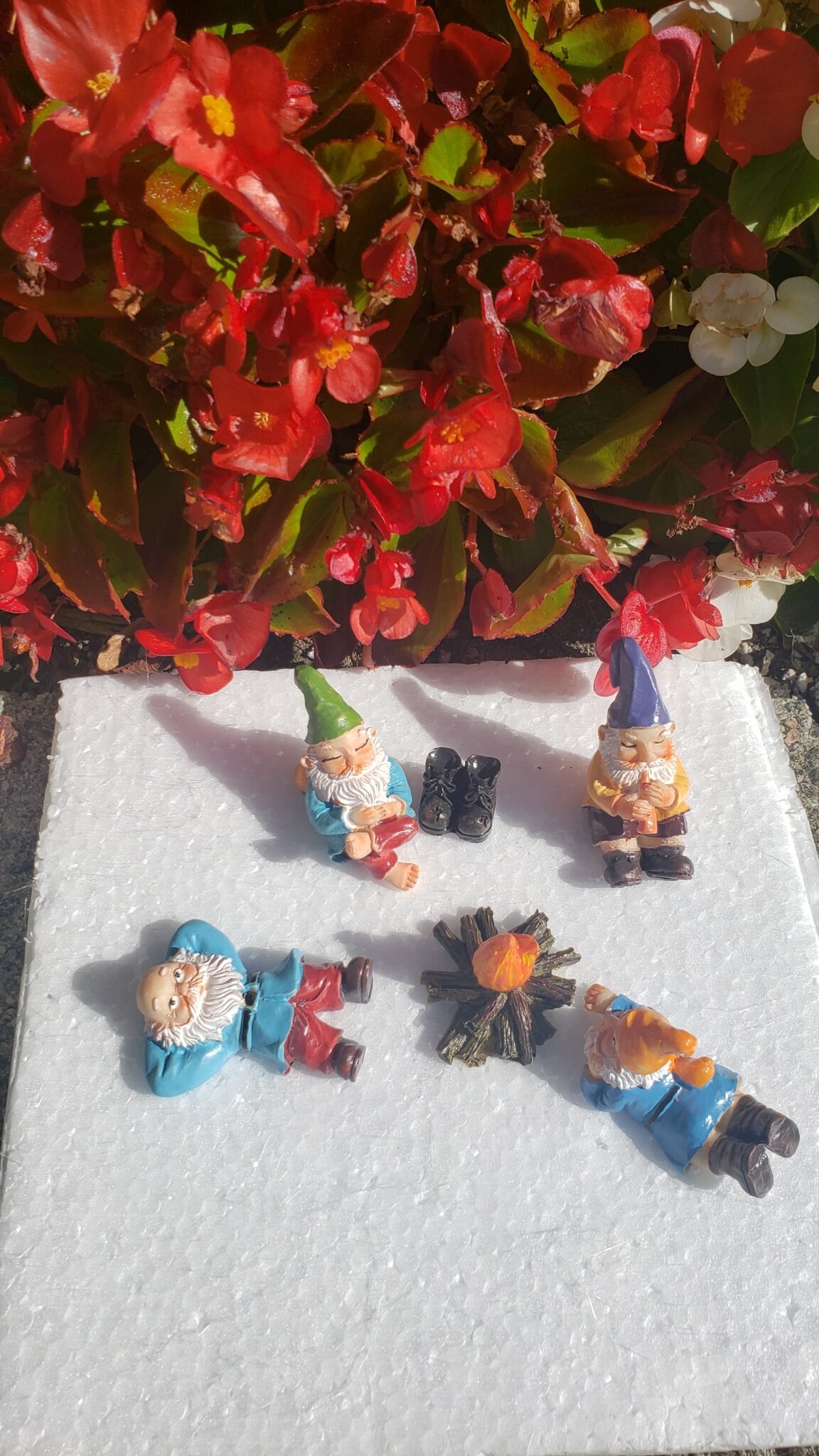 6 Piece Camping Gnomes - The Gnome Shop