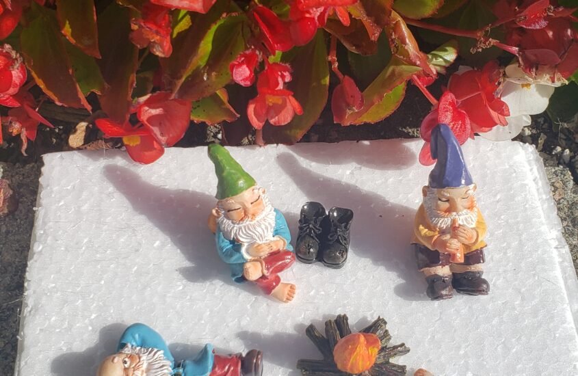 6 Piece Camping Gnomes - The Gnome Shop