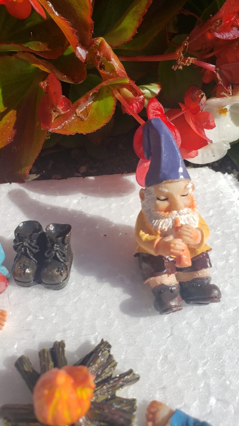 6 Piece Camping Gnomes - The Gnome Shop