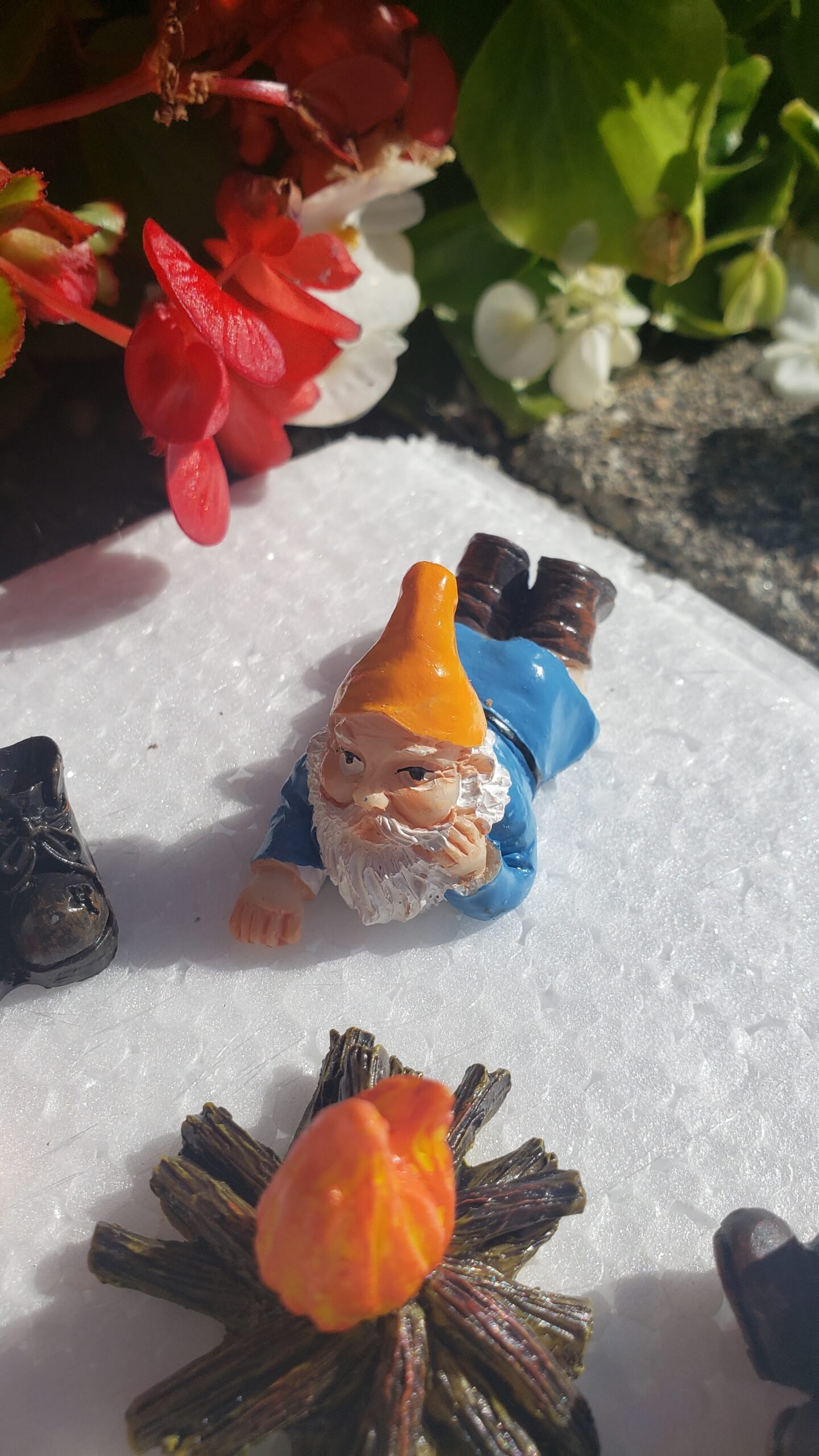 6 Piece Camping Gnomes - The Gnome Shop