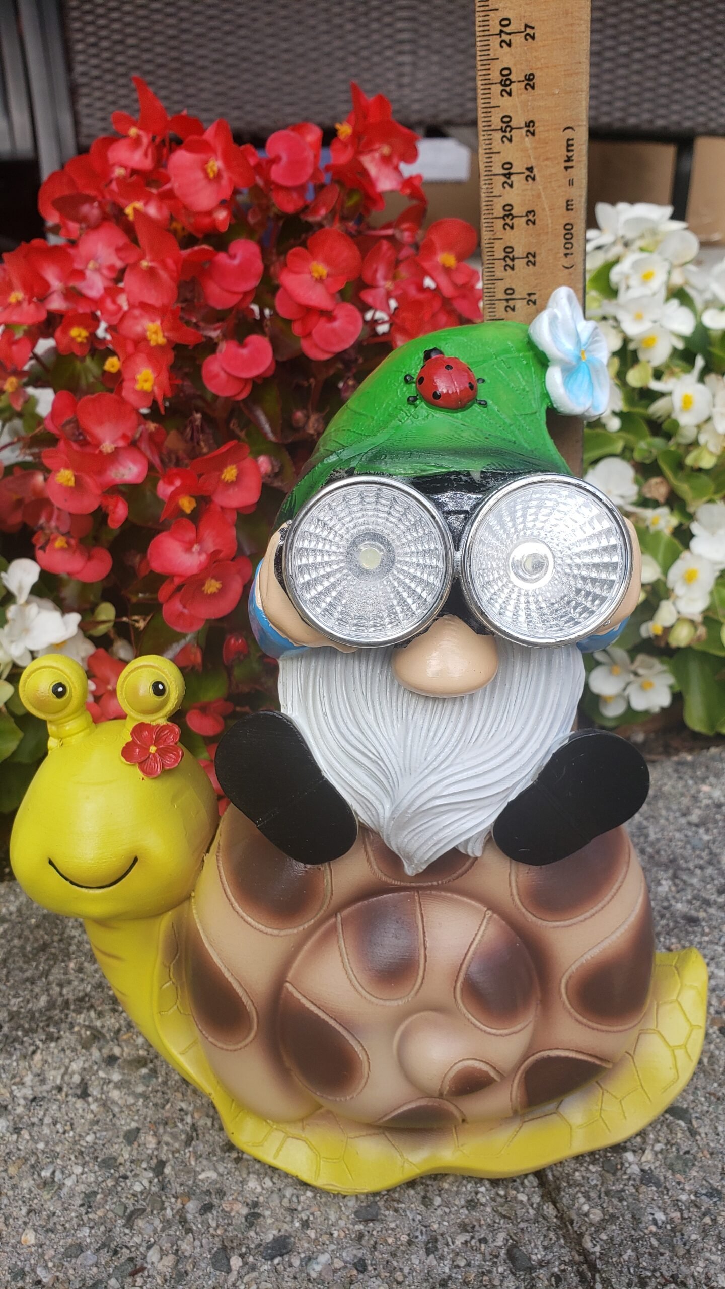 Gnome on Snail - The Gnome Shop