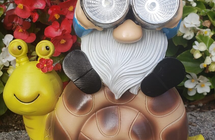 Gnome on Snail - The Gnome Shop