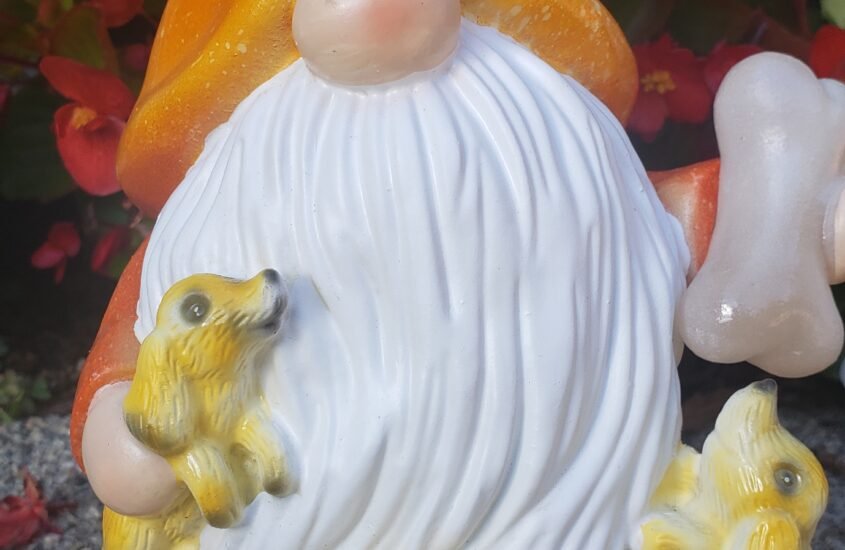 Gnome with Dog and Lit up Bone - The Gnome Shop