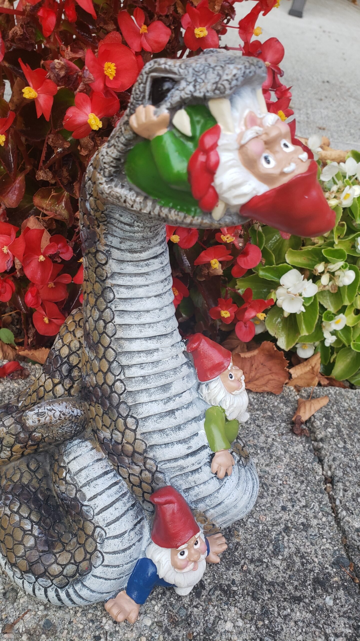 Garden Gnomes Captured by King Cobra - The Gnome Shop