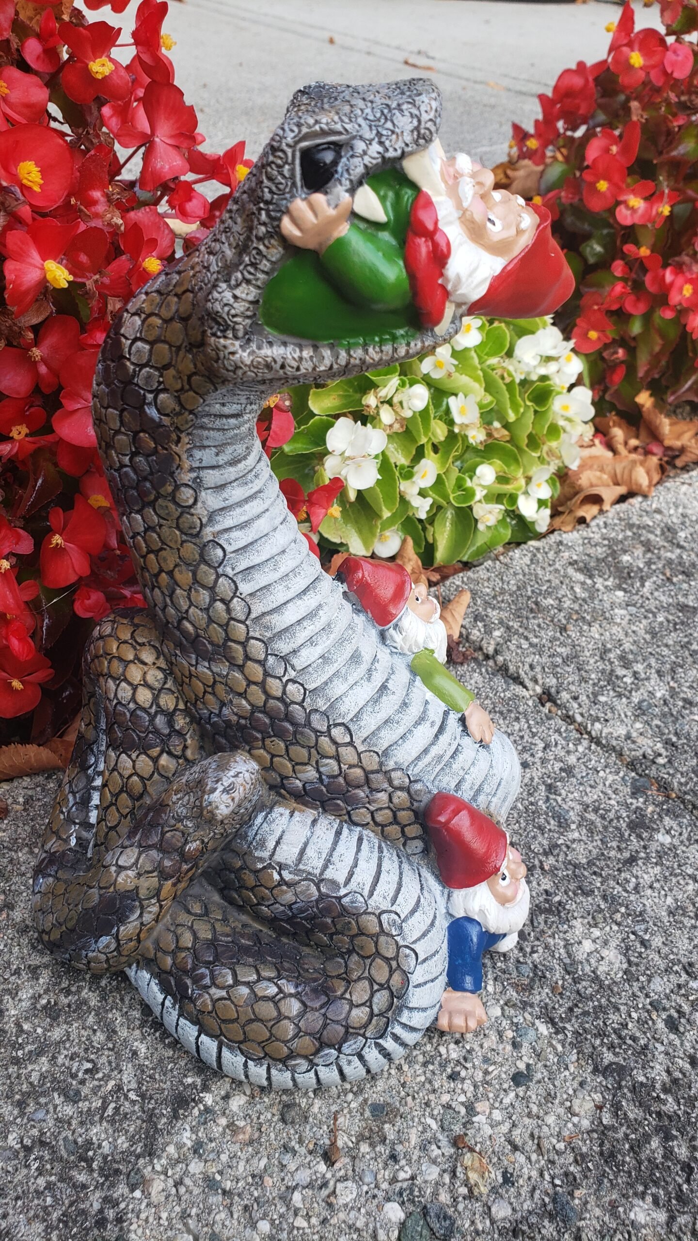 Garden Gnomes Captured by King Cobra - The Gnome Shop
